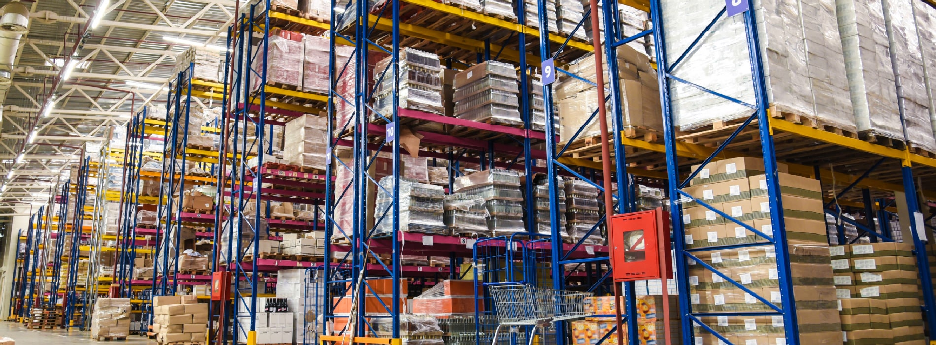 IMS Global Enterprises Inc.